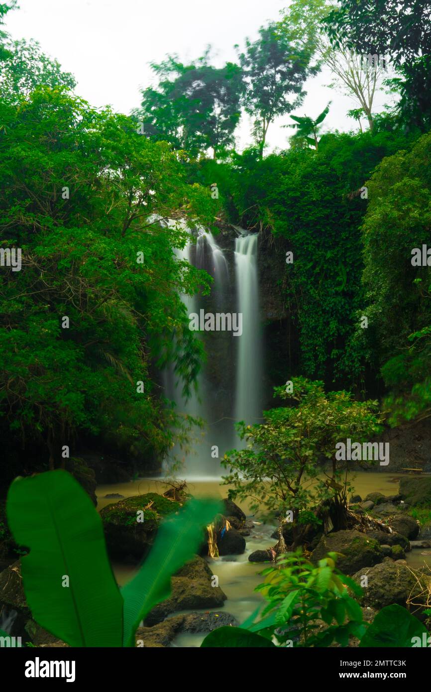 the natural freshness of the Curug or waterfalls Gondoroiyo in Semarang ...
