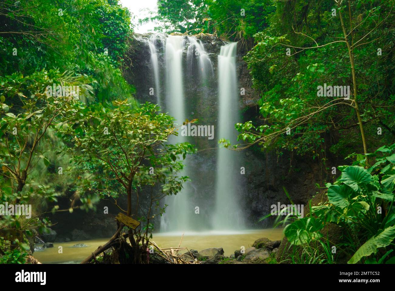 the natural freshness of the Curug or waterfalls Gondoroiyo in Semarang ...