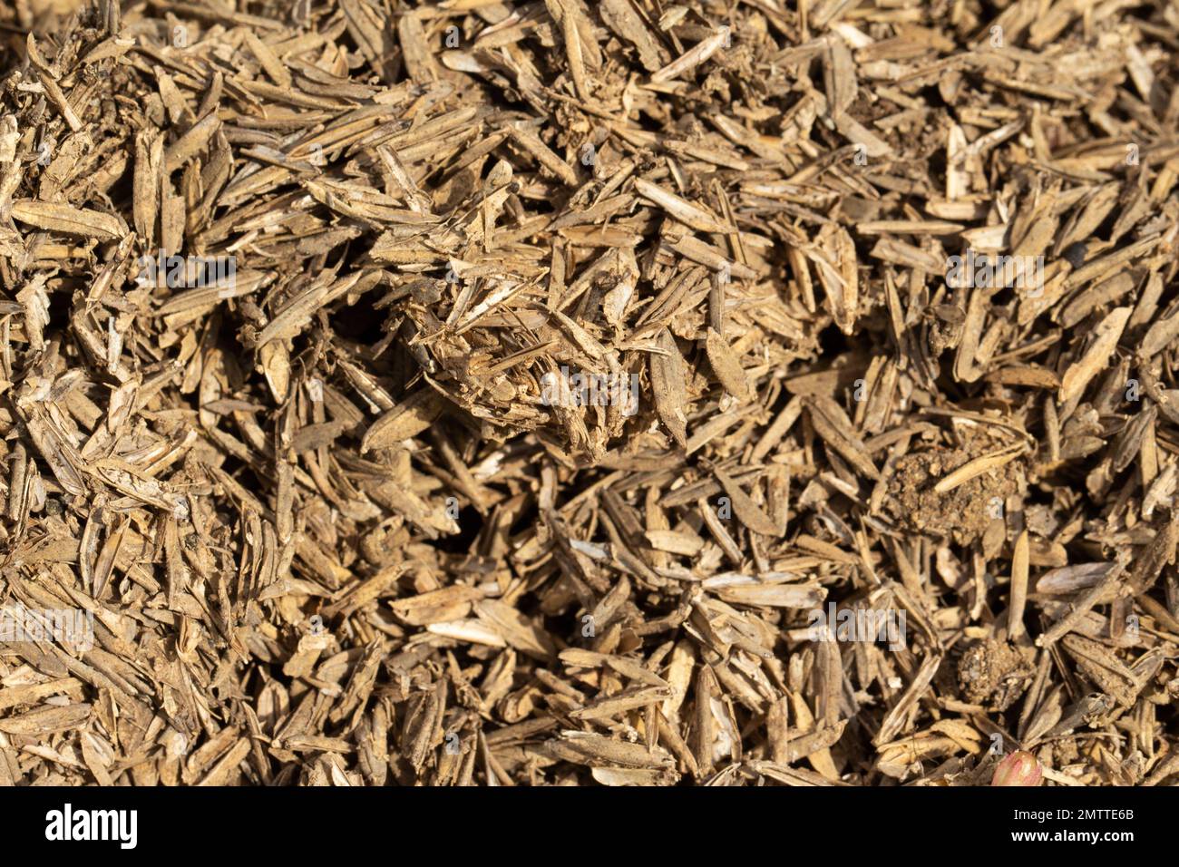 husk background for fertilizing to plant trees Stock Photo - Alamy