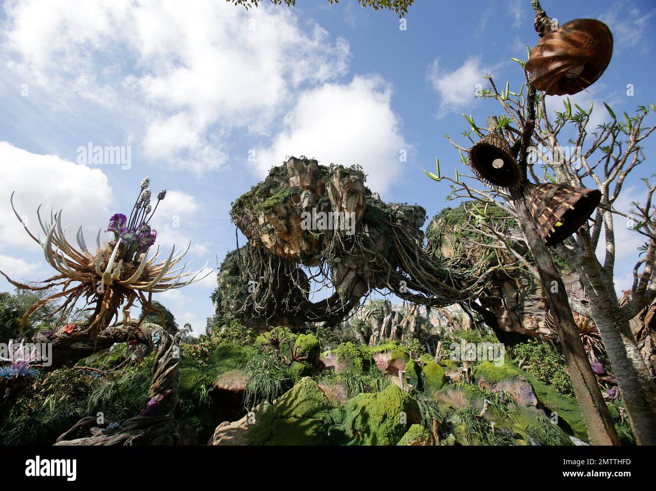 In this Saturday, April 29, 2017 photo, at Pandora, the World of Avatar ...