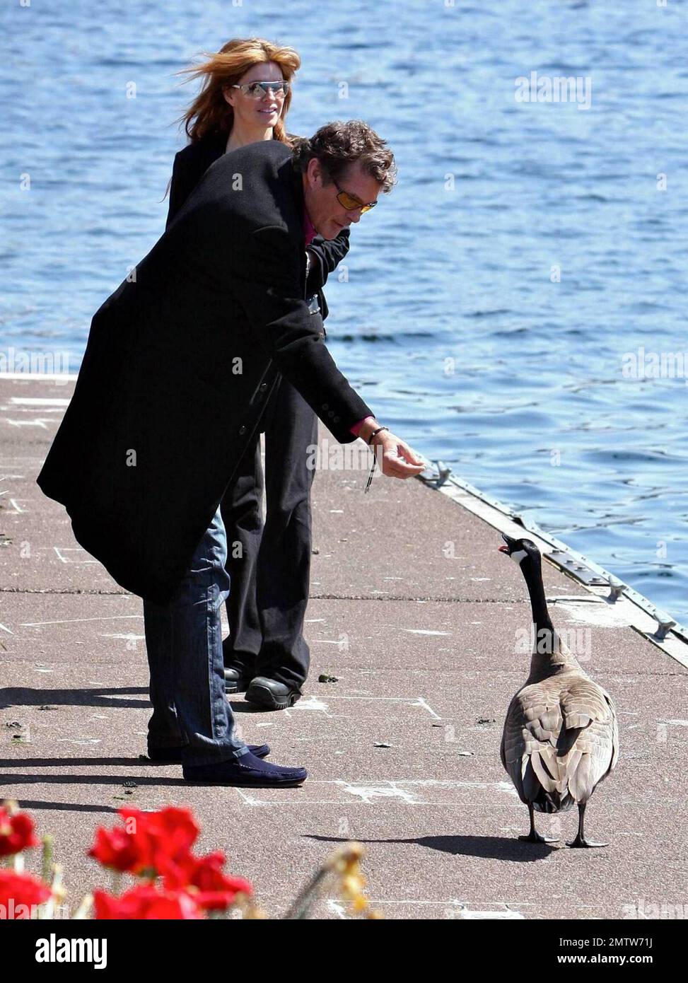 Exclusive!! David Hasselhoff and his new girlfriend Malibu celebrity ...