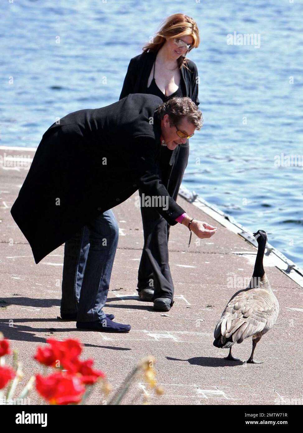 Exclusive!! David Hasselhoff and his new girlfriend Malibu celebrity ...