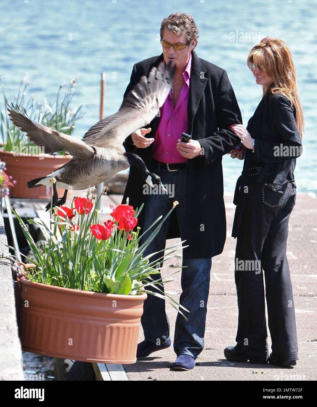 Exclusive!! David Hasselhoff and his new girlfriend Malibu celebrity ...