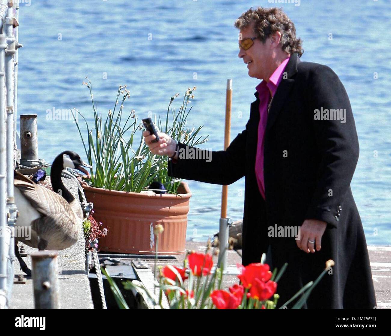 Exclusive!! David Hasselhoff and his new girlfriend Malibu celebrity ...