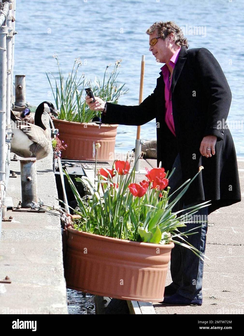 Exclusive!! David Hasselhoff and his new girlfriend Malibu celebrity ...