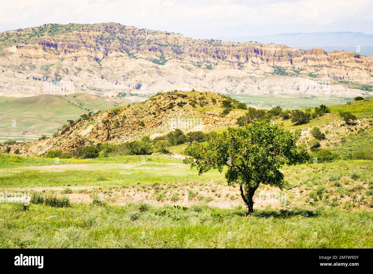 Stunning sharp edge cliffs in vashlovani national park area with ...