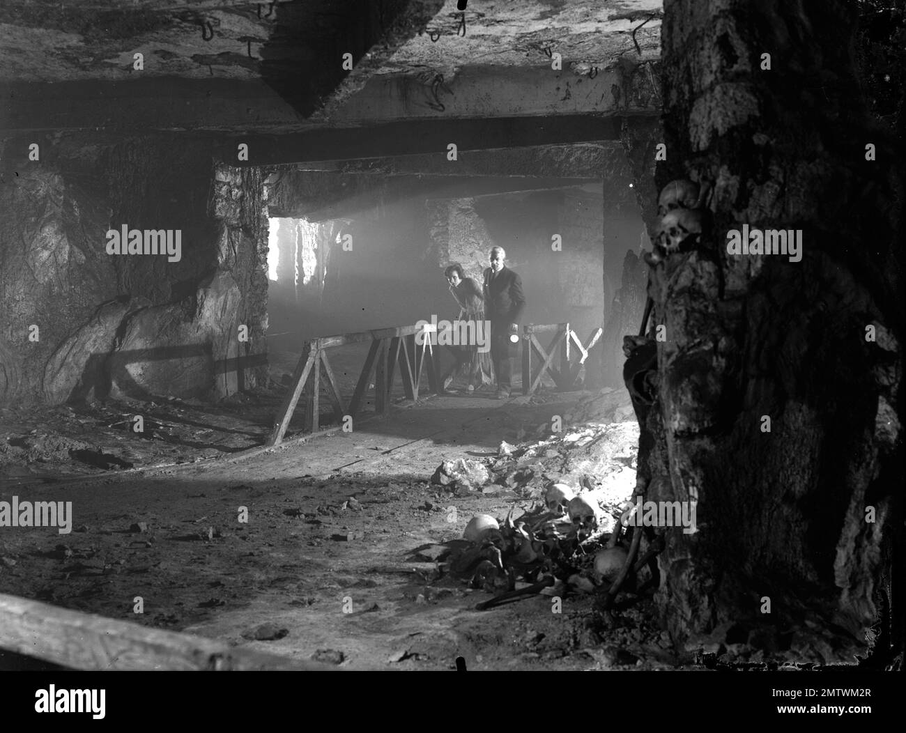 Suzanne year hi-res stock photography and images - Alamy