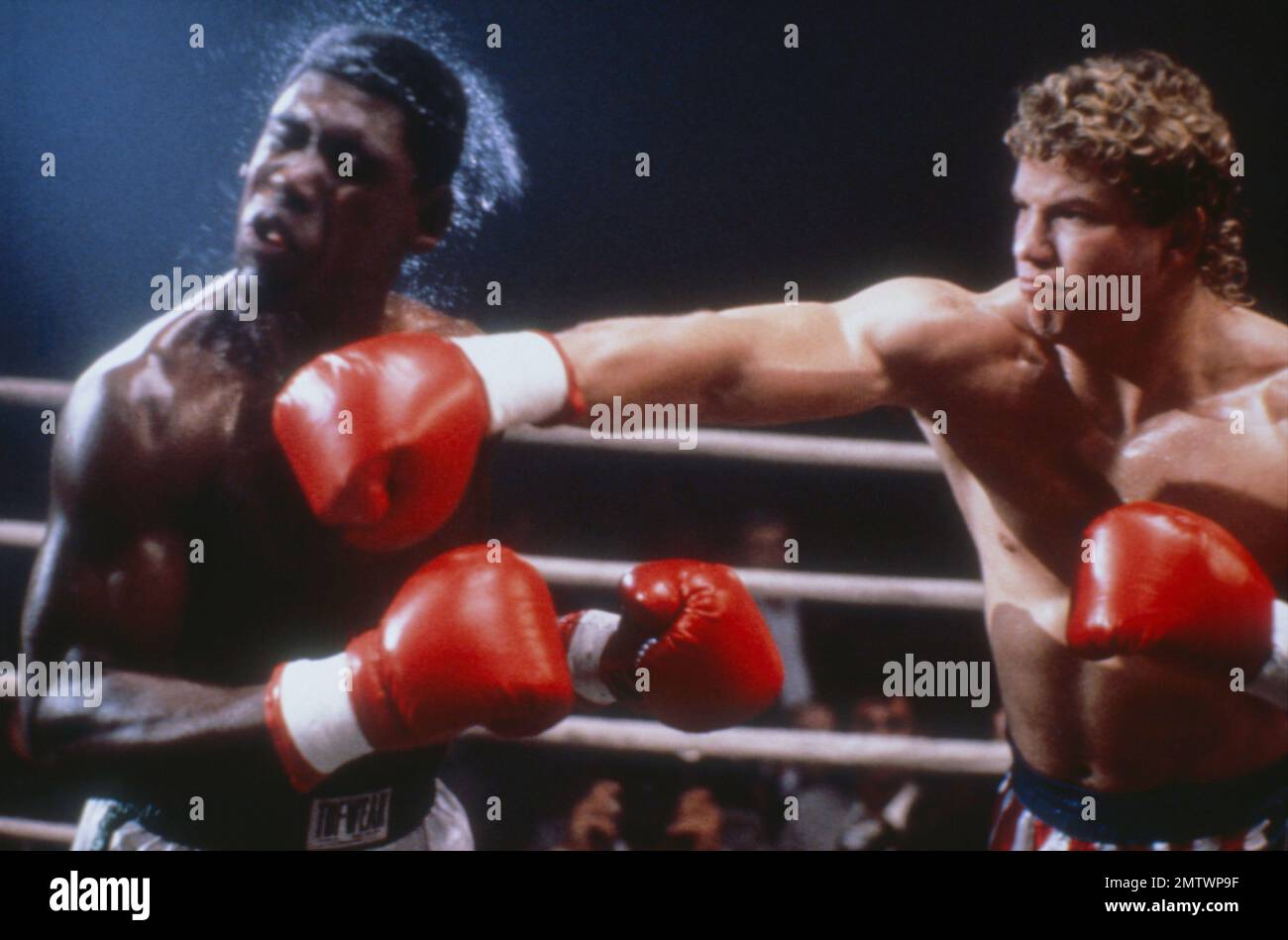 John g avildsen tommy morrison michael anthony williams hi-res stock ...