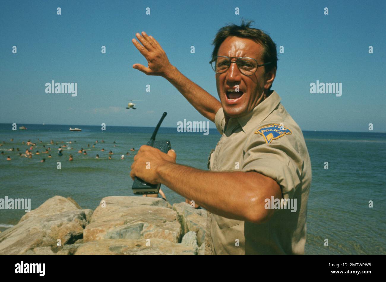 Jaws Year : 1975 USA Director : Steven Spielberg Roy Scheider Stock Photo - Alamy