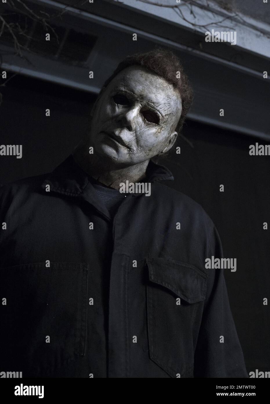Halloween Year : 2018 USA Director : David Gordon Green Nick Castle ...