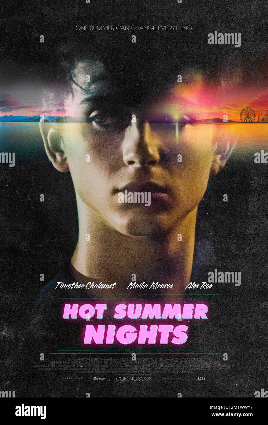 2017 usa director elijah bynum timothee chalamet american poster hi-res ...