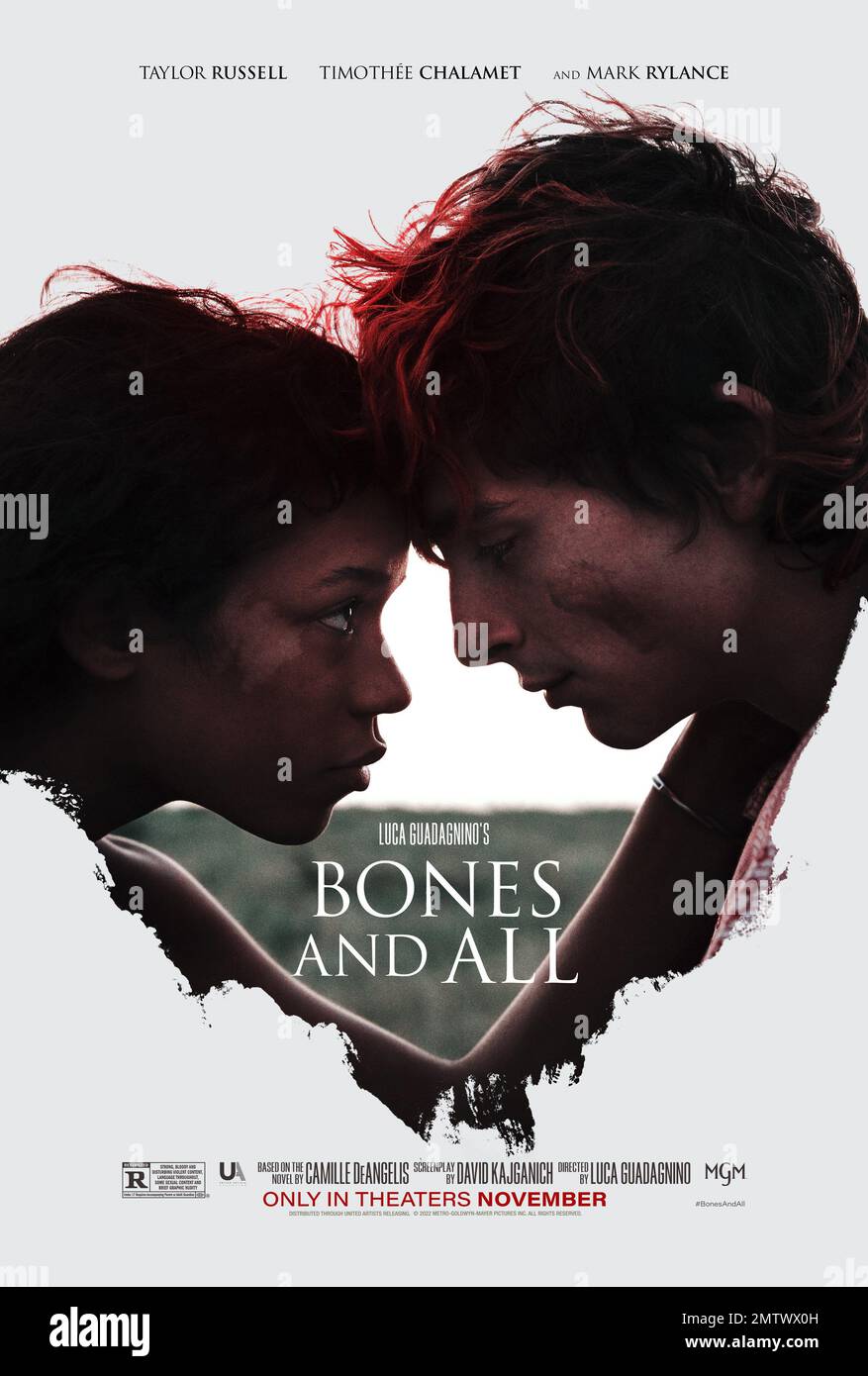 Bones and All Year : 2022 Italy / USA Director : Luca Guadagnino Taylor ...