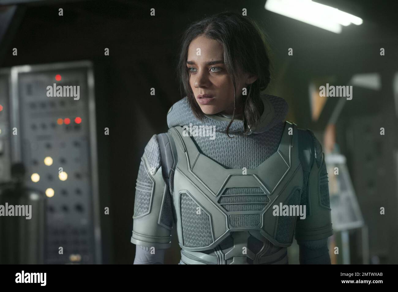 Ant-Man and the Wasp Year : 2018 USA Director : Peyton Reed Hannah John ...