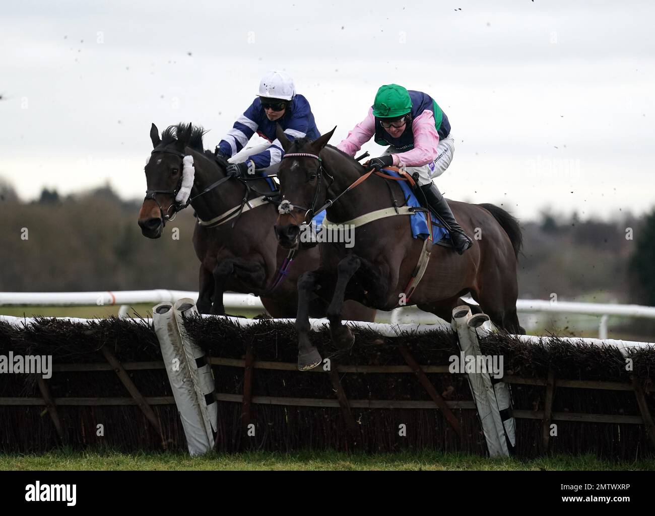 Tucker woods hi-res stock photography and images - Alamy