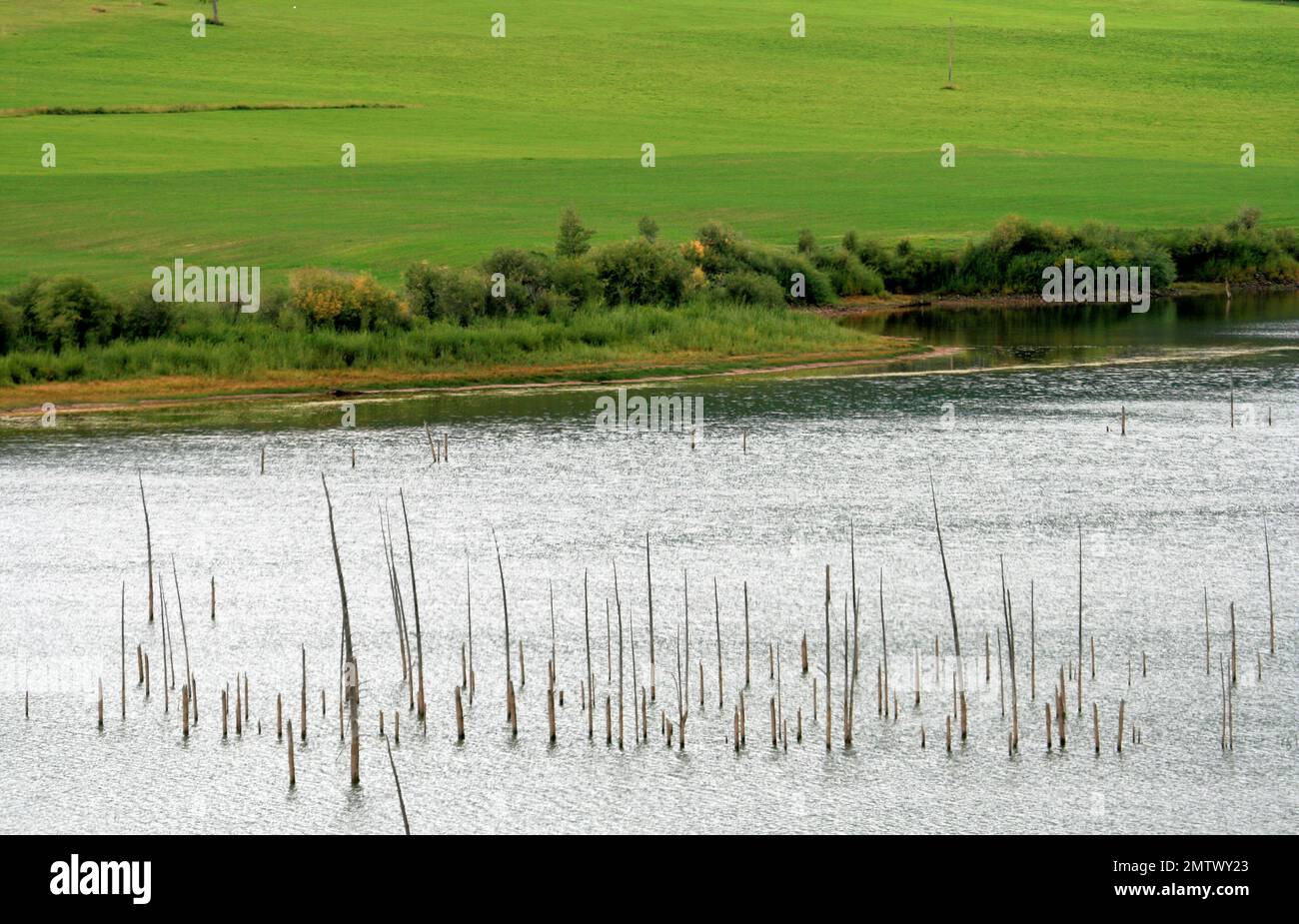 green field and lake Stock Photo - Alamy