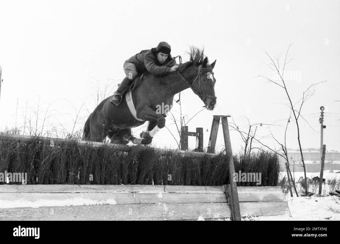 Grifel, one of three Russian entries in the Grand National Steeple ...