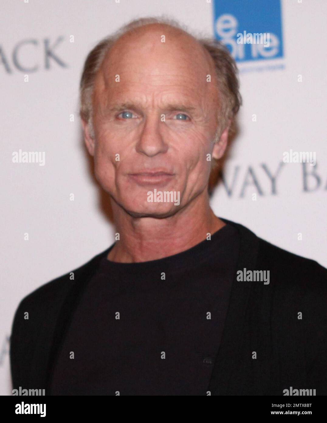 Ed Harris poses at Claridge's Hotel during the photo call for "The Way ...