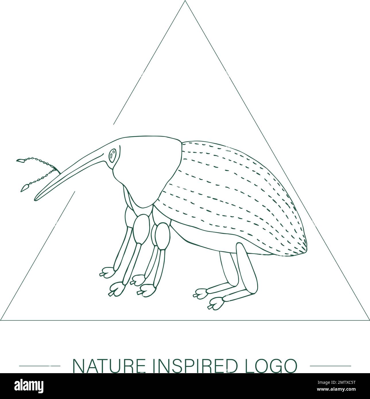 Vector hand drawn tropical weevil in a triangle. Insect themed logotype ...