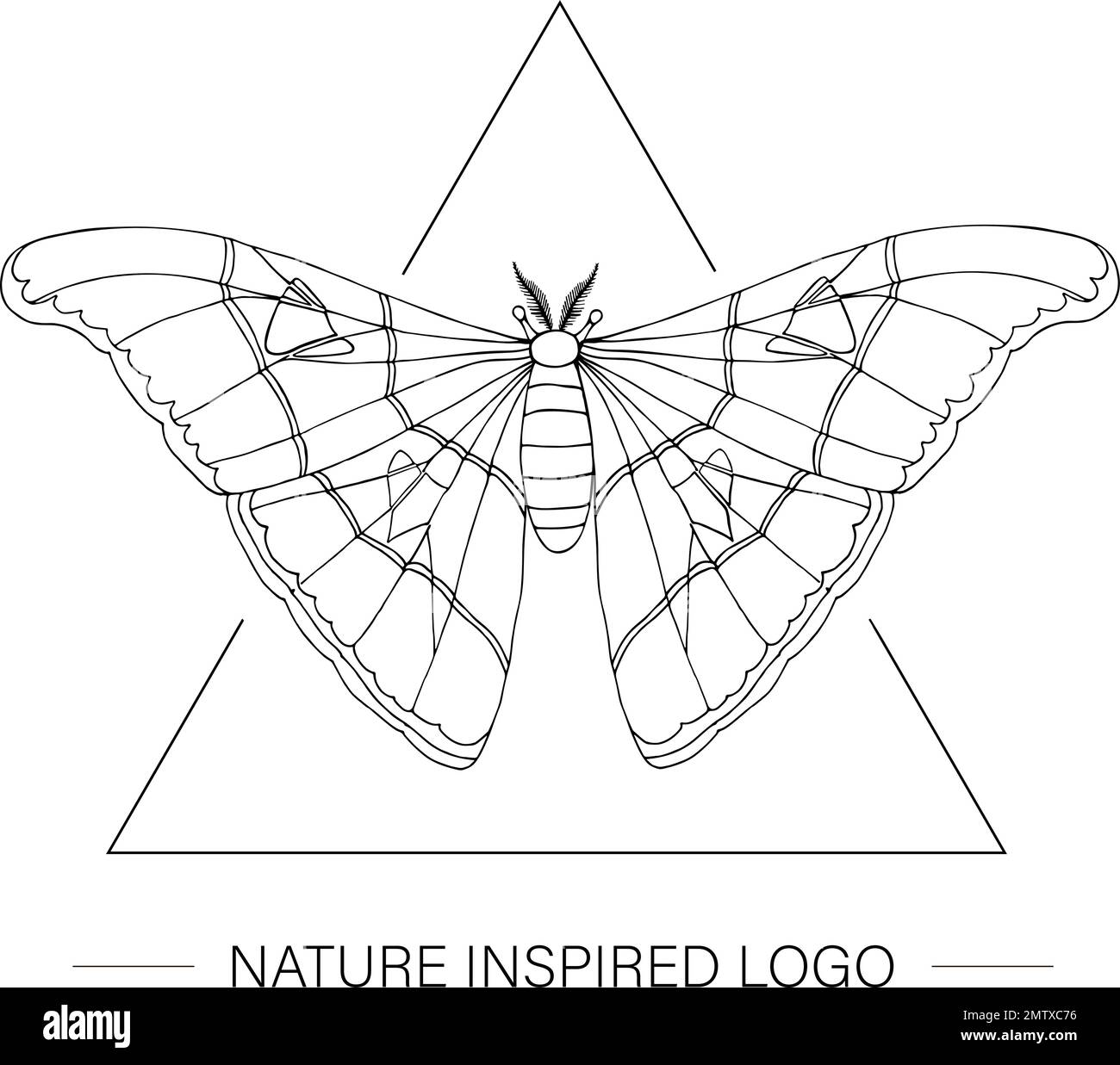 Vector hand drawn tropical atlas moth in a triangle. Tropic themed ...