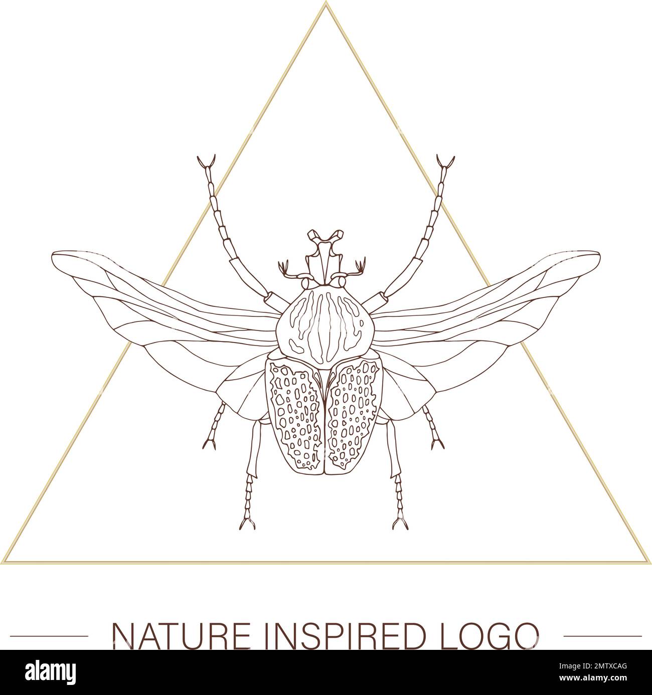 Vector hand drawn tropical goliath beetle with wings in a triangle ...