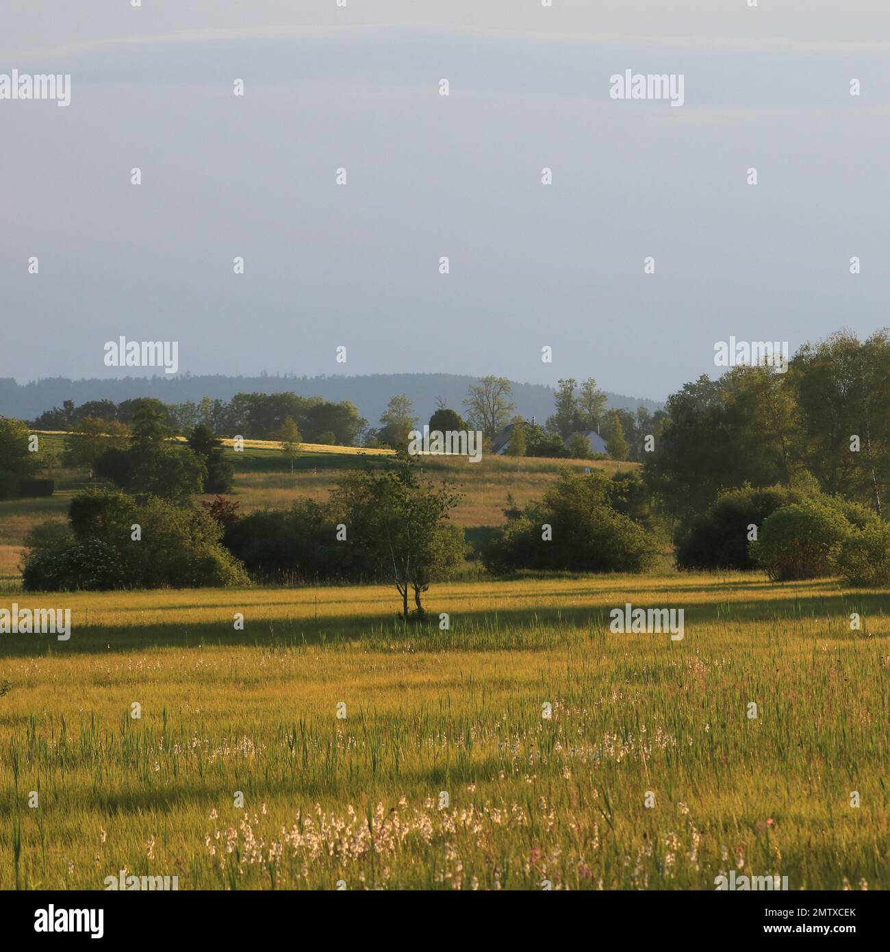 Meadows and trees in Zurich Canton, Switzerland Stock Photo - Alamy