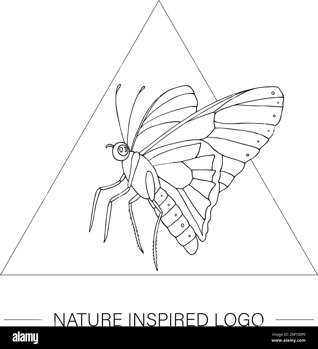 Vector hand drawn tropical butterfly in a triangle. Insect themed ...