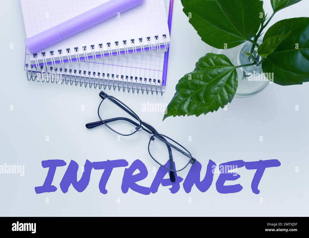 Hand writing sign Intranet. Concept meaning local or restricted ...