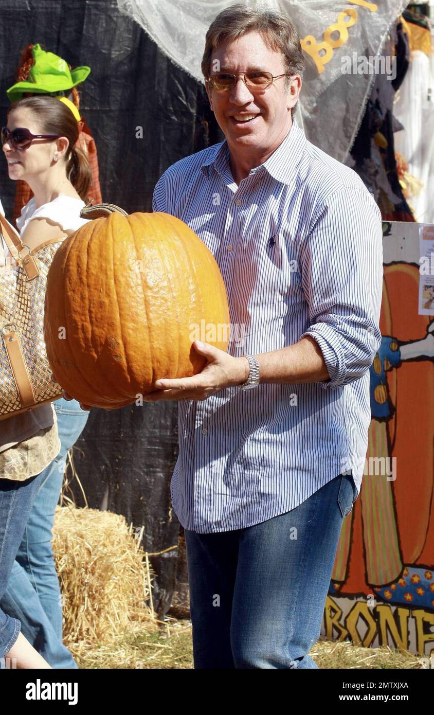 Actor Tim Allen shows off the pumpkin he's chosen for Halloween after ...