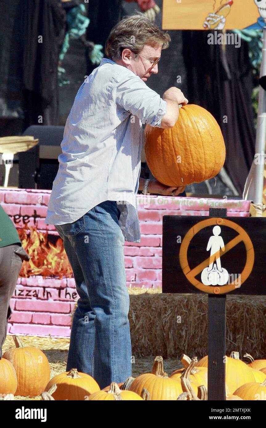 Actor Tim Allen shows off the pumpkin he's chosen for Halloween after ...