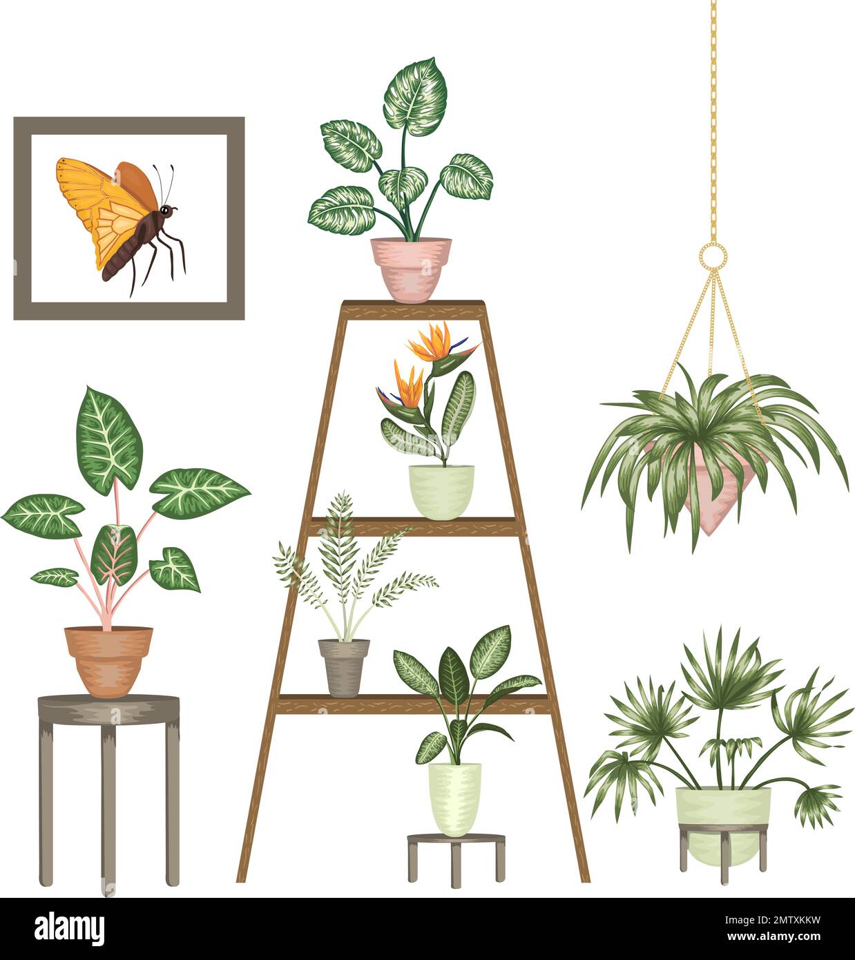 Vector illustration of tropical houseplants in pots on a stand isolated ...