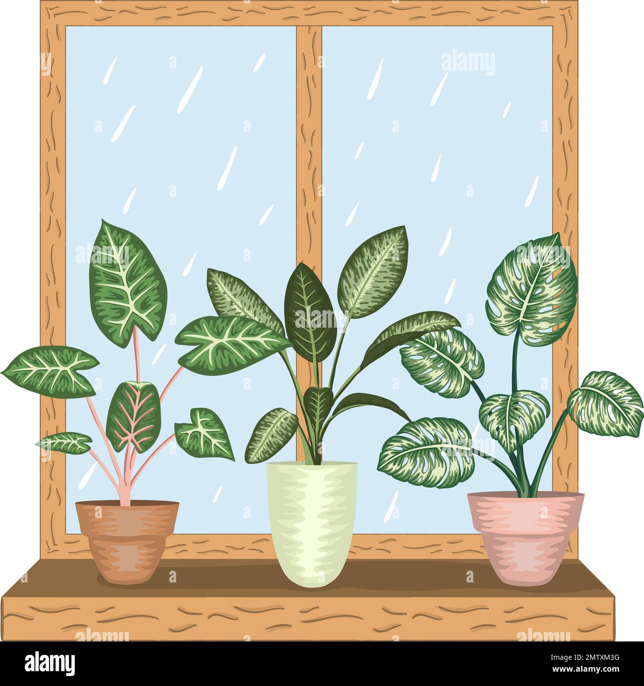Window with tropical houseplants in pots. Rainy weather view ...