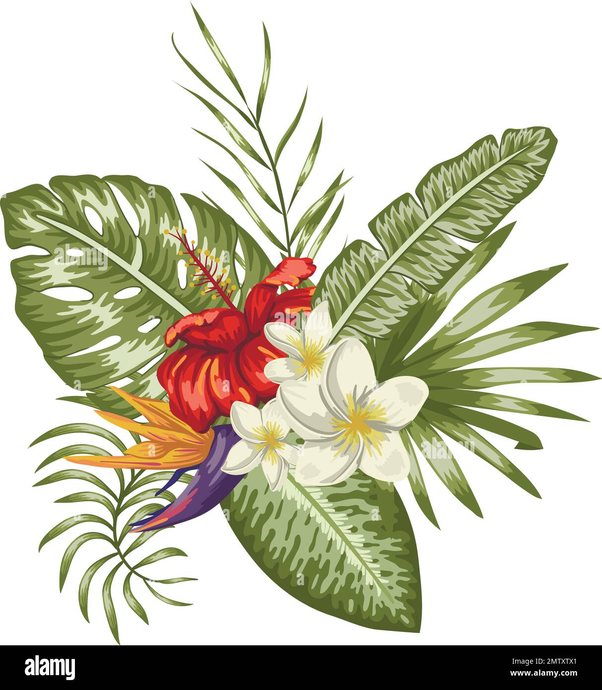 Vector tropical composition of red hibiscus, white plumeria, monstera ...