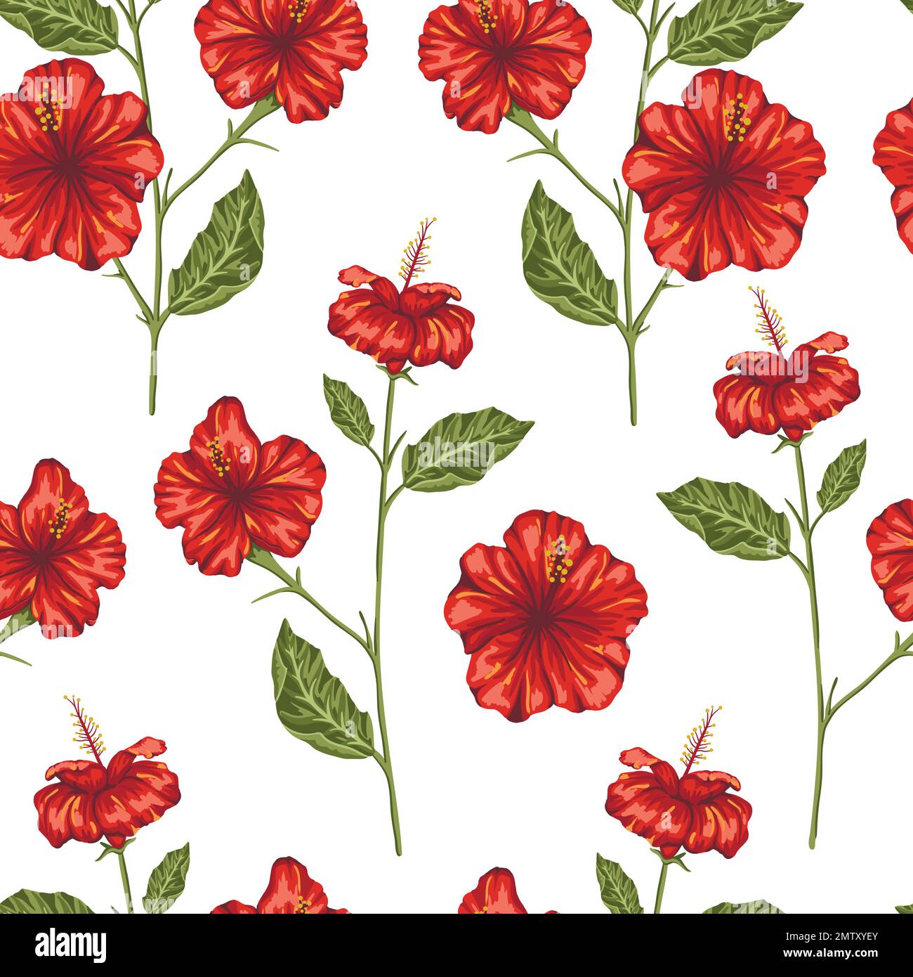 Vector seamless pattern of red hibiscus branches isolated on white ...