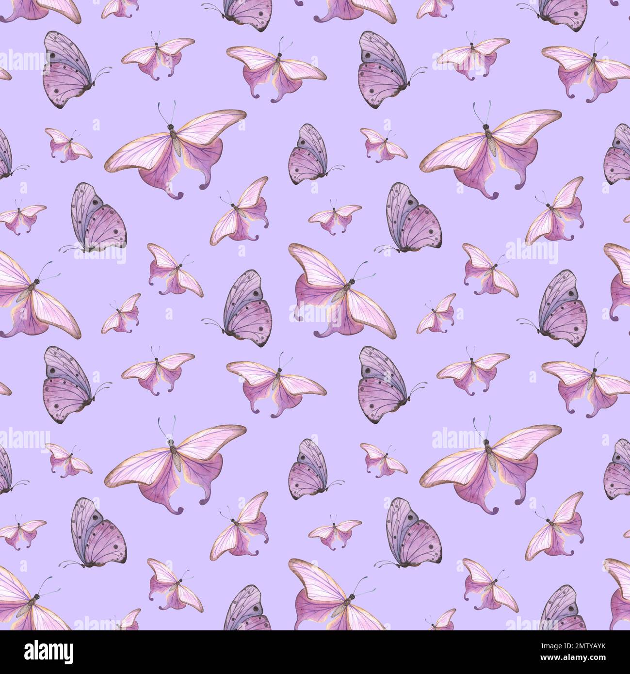 seamless pattern violet butterfly with detailed wings isolated on ...