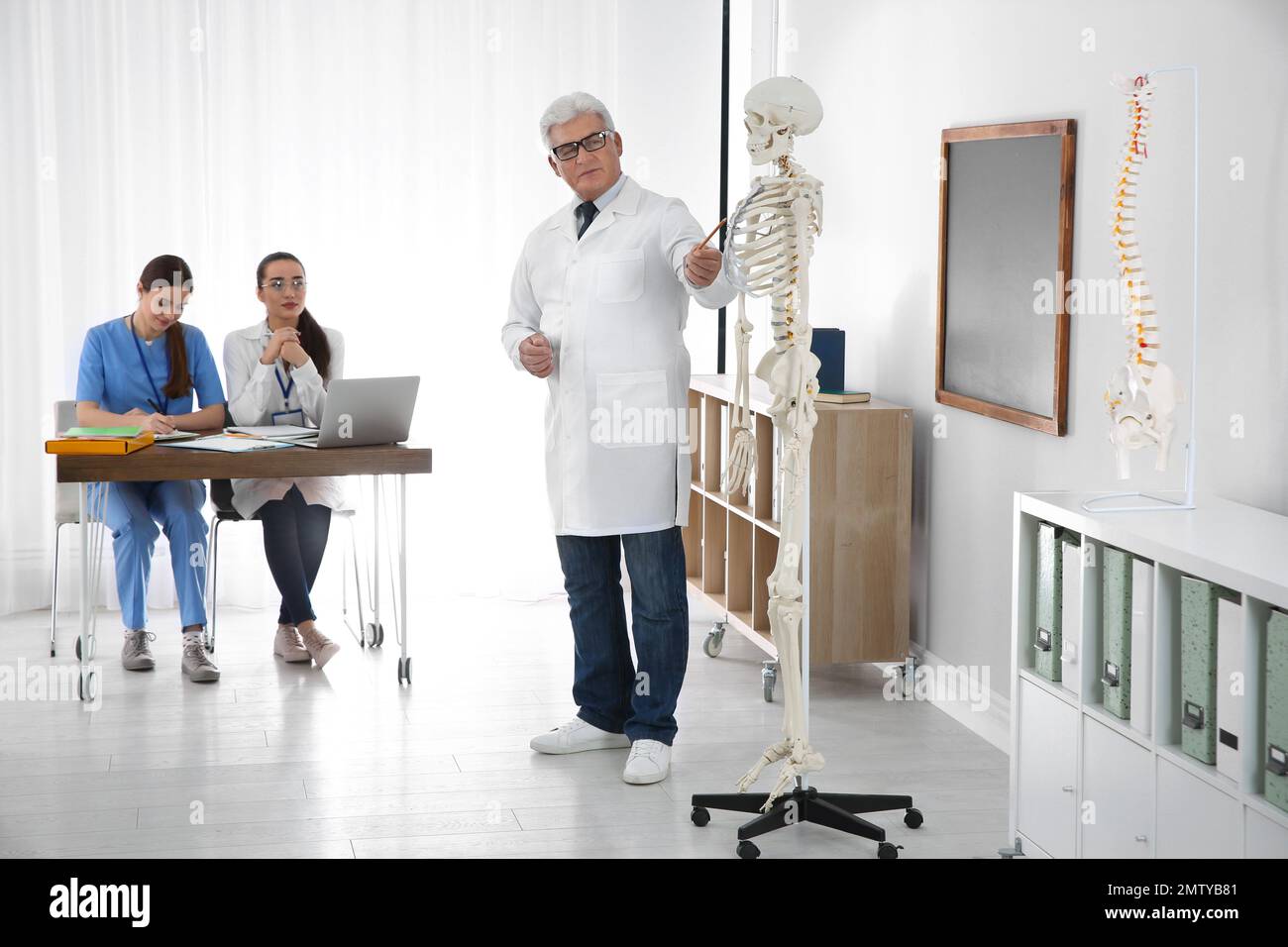 Medical students and professor studying human skeleton anatomy in ...