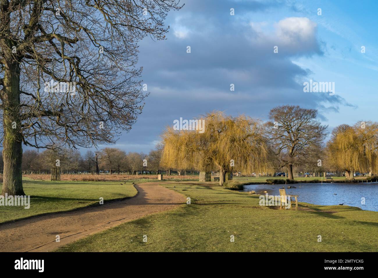 February dawn at Bushy Park ponds in Surrey UK Stock Photo - Alamy