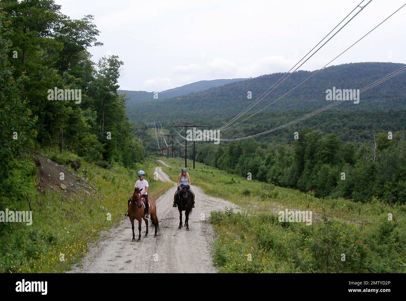 In this undated photo two people ride horses along power lines owned by ...