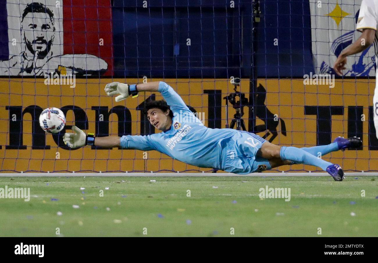 LA Galaxy goalkeeper Brian Rowe makes a save against the Philadelphia ...