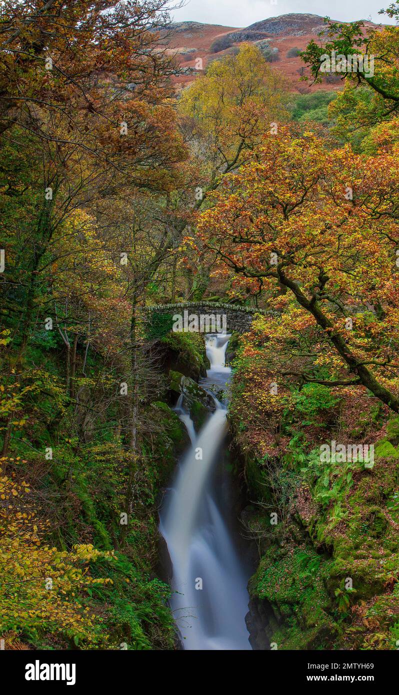 Matterdale lake district hi-res stock photography and images - Alamy