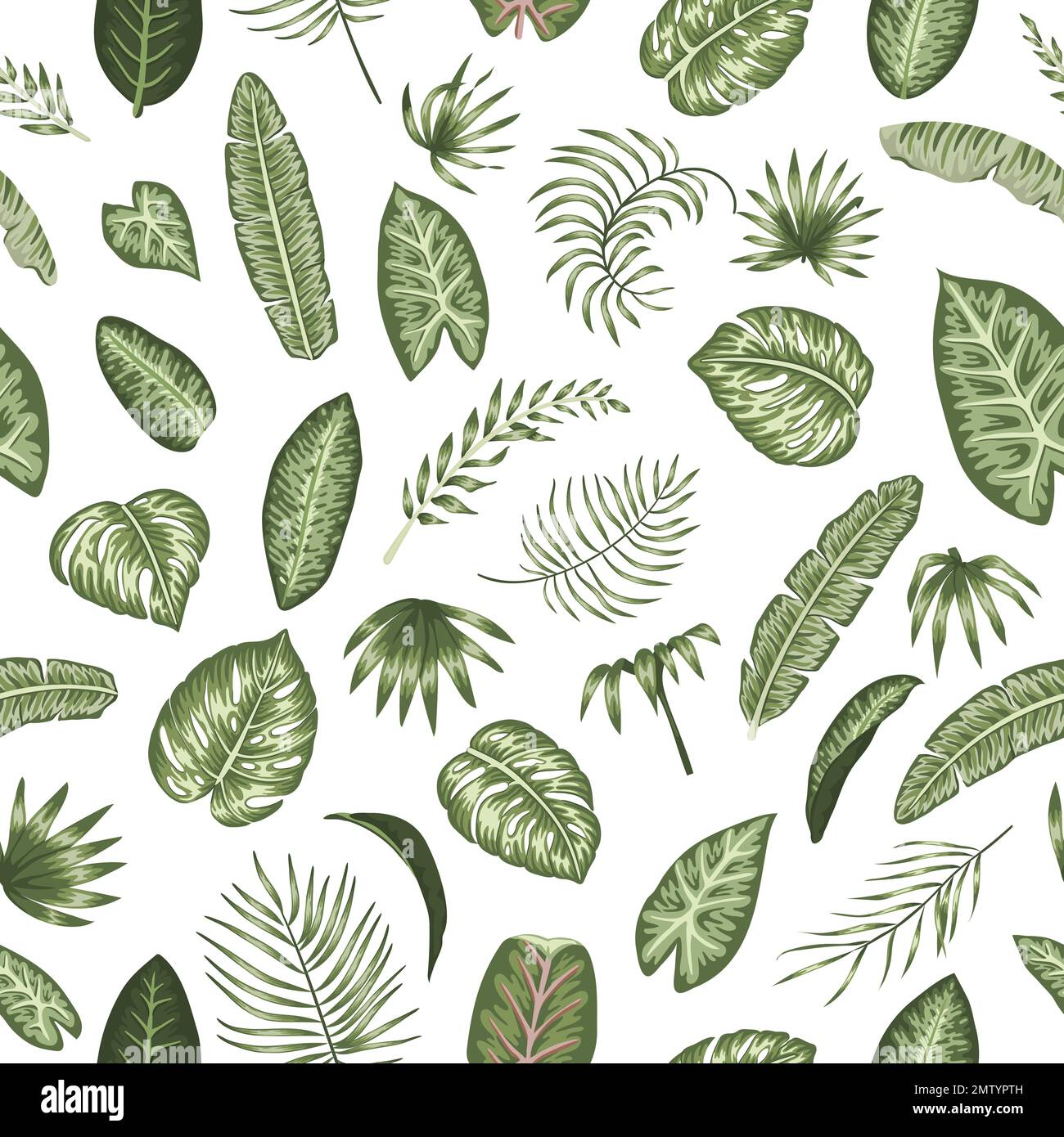 Vector seamless pattern of green tropical leaves on white background ...