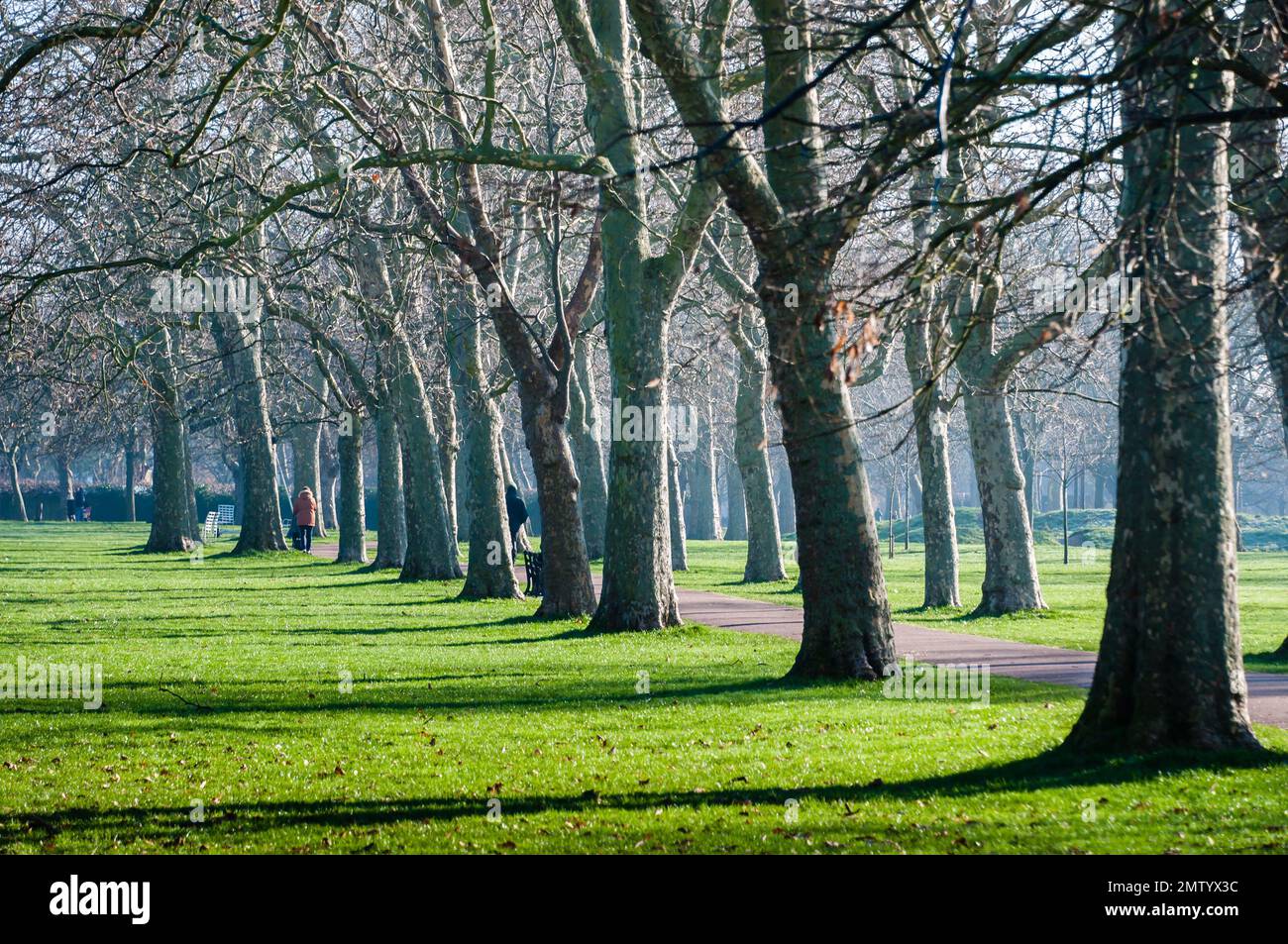 People walking on the path in the park at sunny cold Winter day in the ...