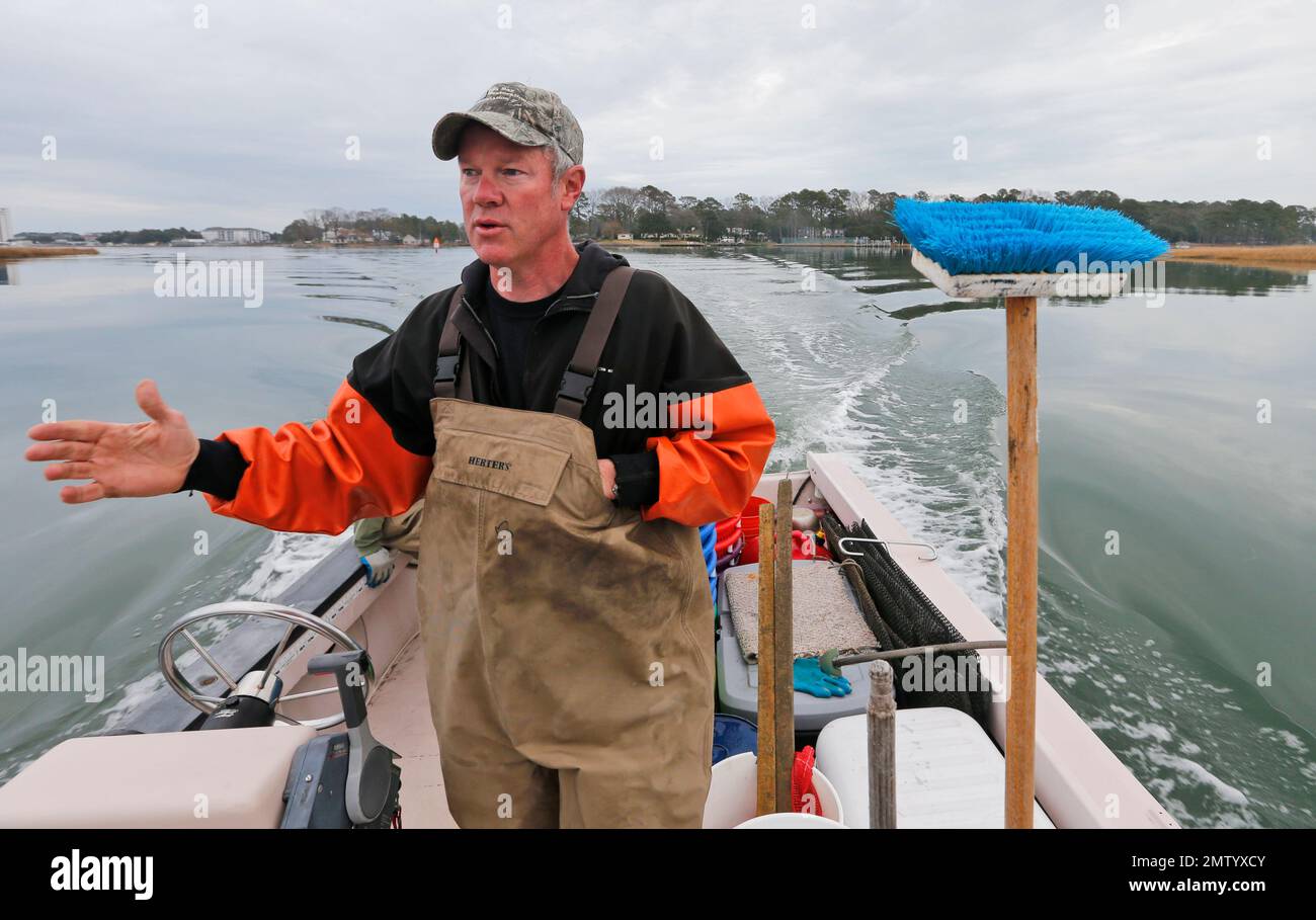 Oysterman, Chris Ludford, gestures as he surveys some of his leased ...