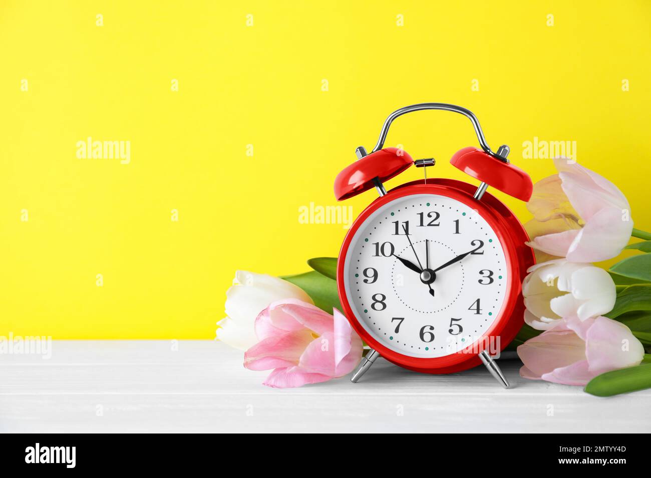 Red alarm clock and spring flowers on yellow background, space for text ...