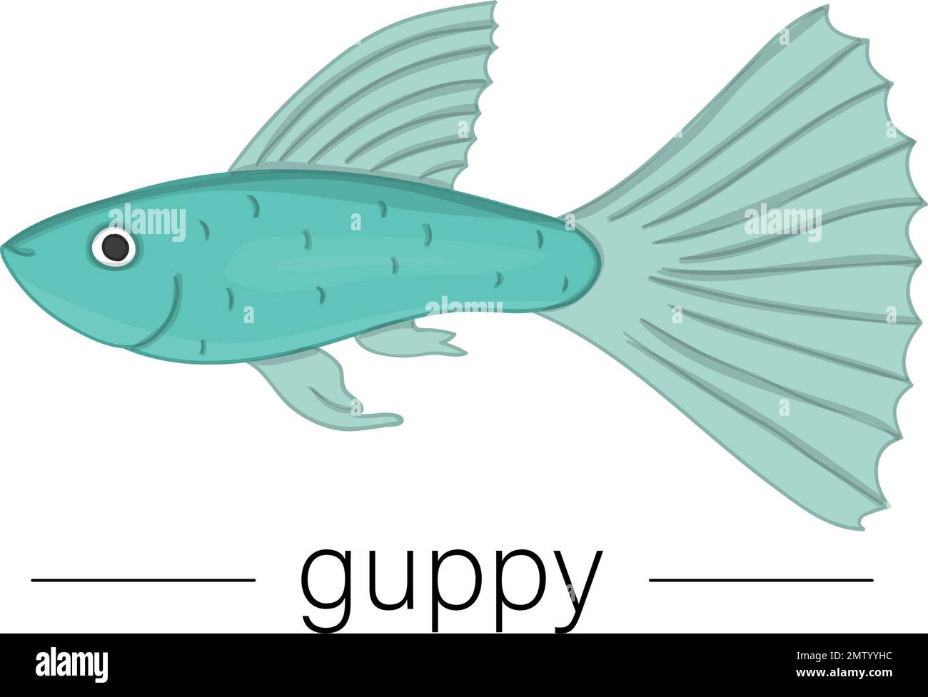Vector colored illustration of aquarium fish. Cute picture of guppy for ...