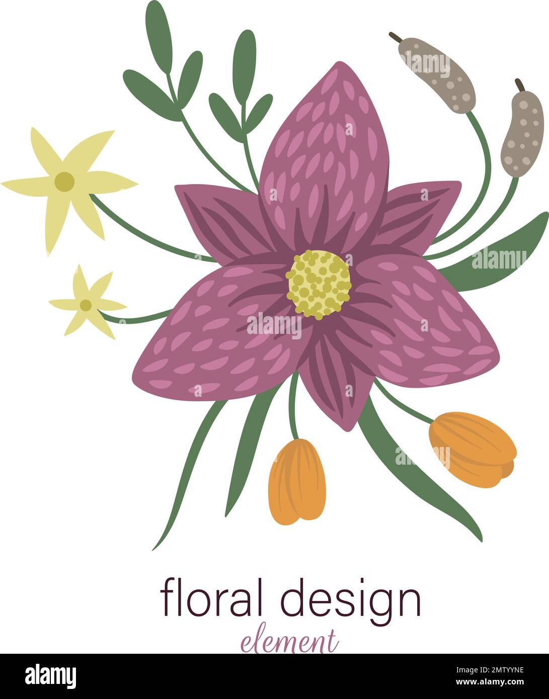 Swamp lily Cut Out Stock Images & Pictures - Alamy