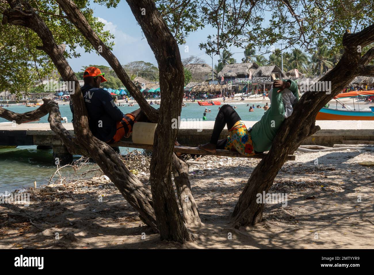 Two people resting under a tree on the beach Stock Photo - Alamy