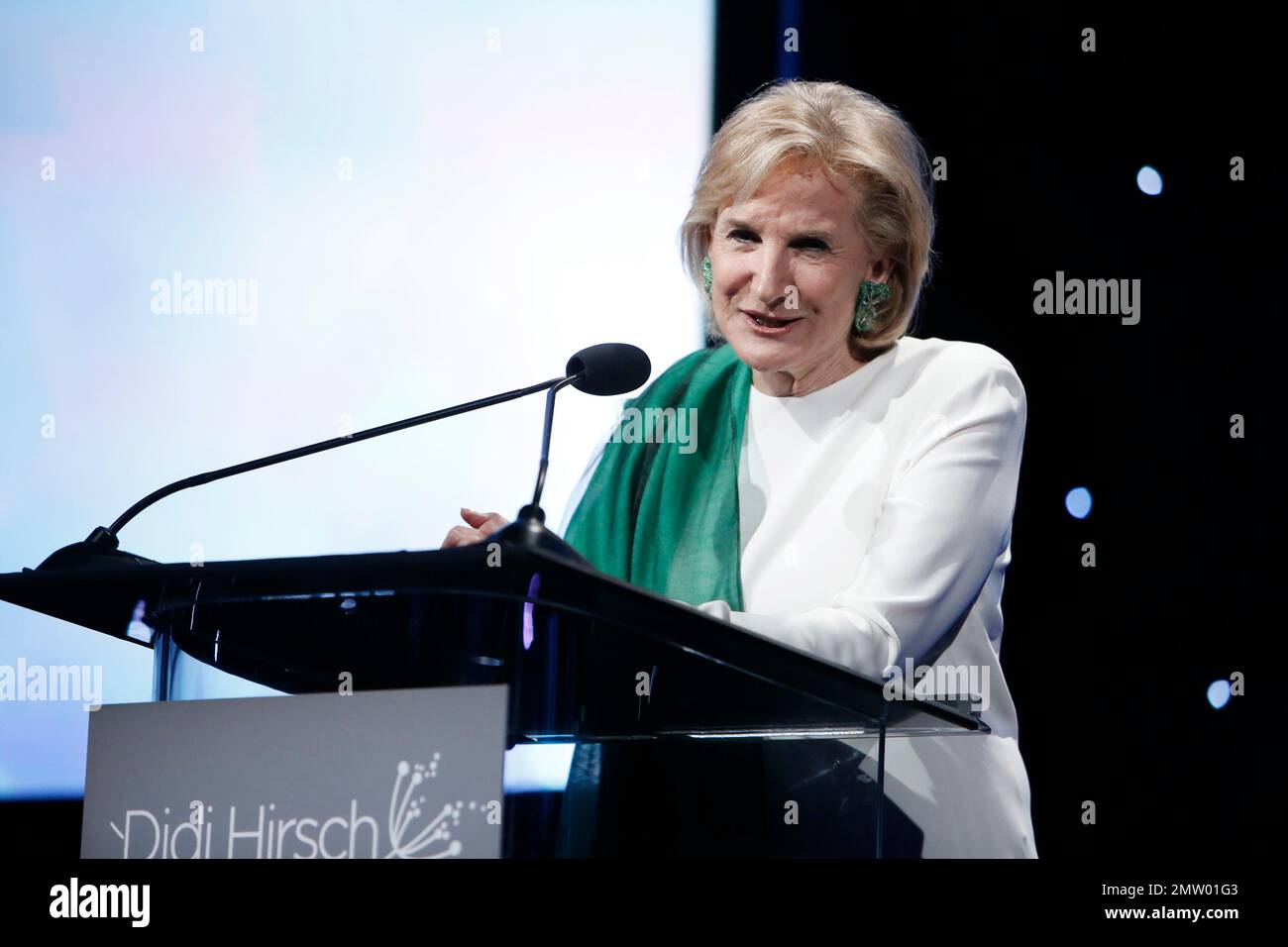 Nancy Rubin seen at the 2017 Erasing the Stigma Leadership Awards on ...