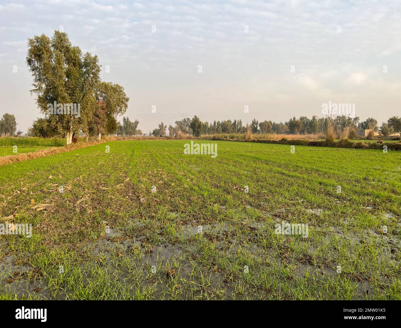 Stunning view of a Mianwali Thathi Kacha Stock Photo - Alamy