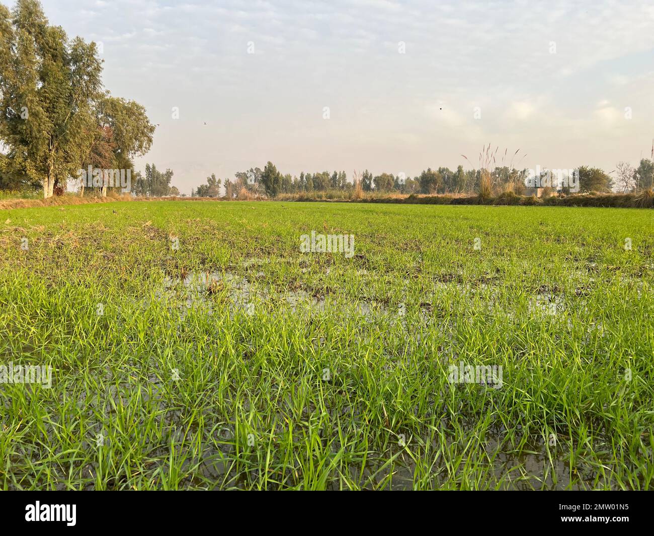 Stunning view of a Mianwali Thathi Kacha Stock Photo - Alamy