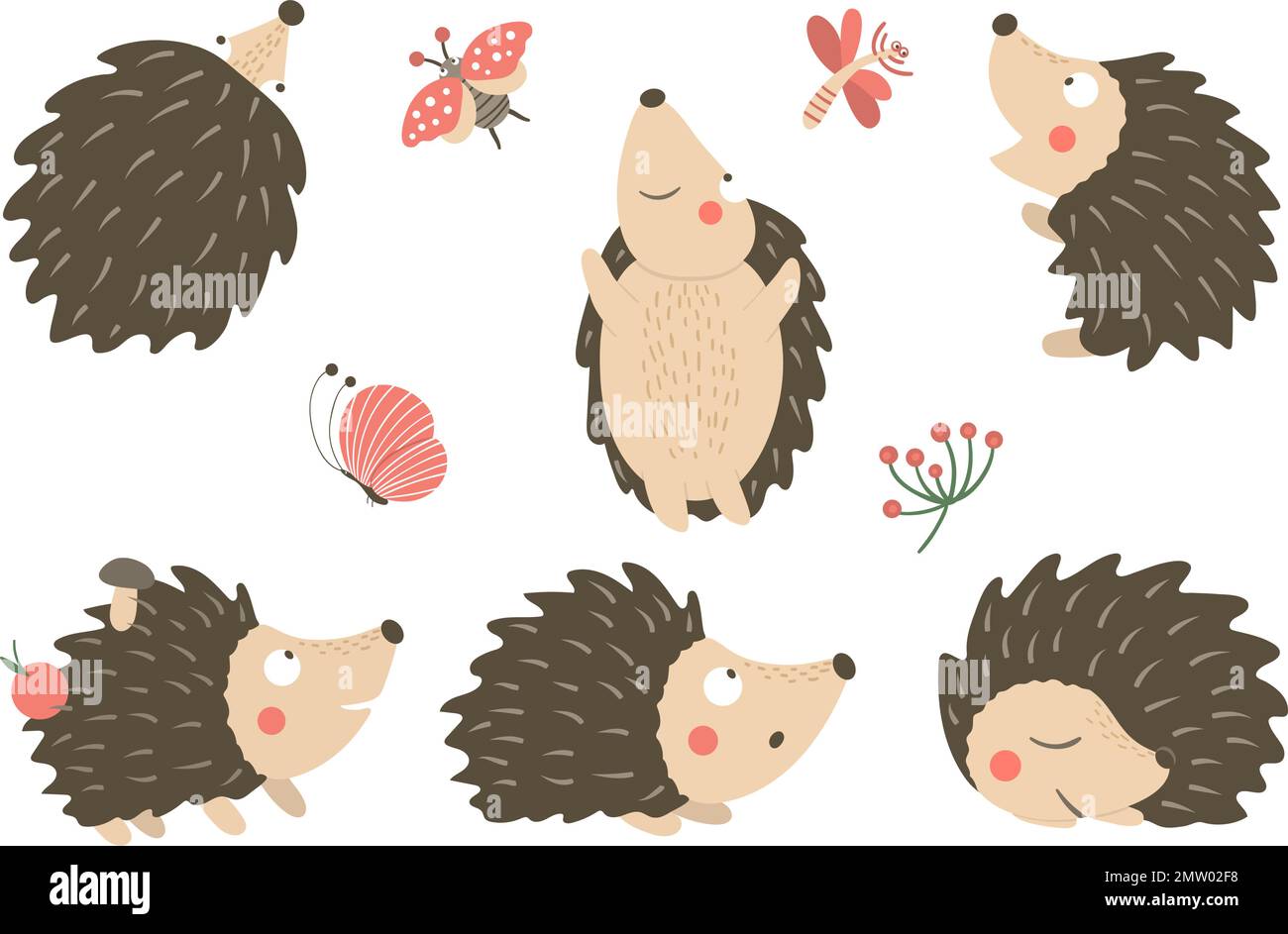 Vector set of cartoon style flat funny hedgehogs in different poses ...